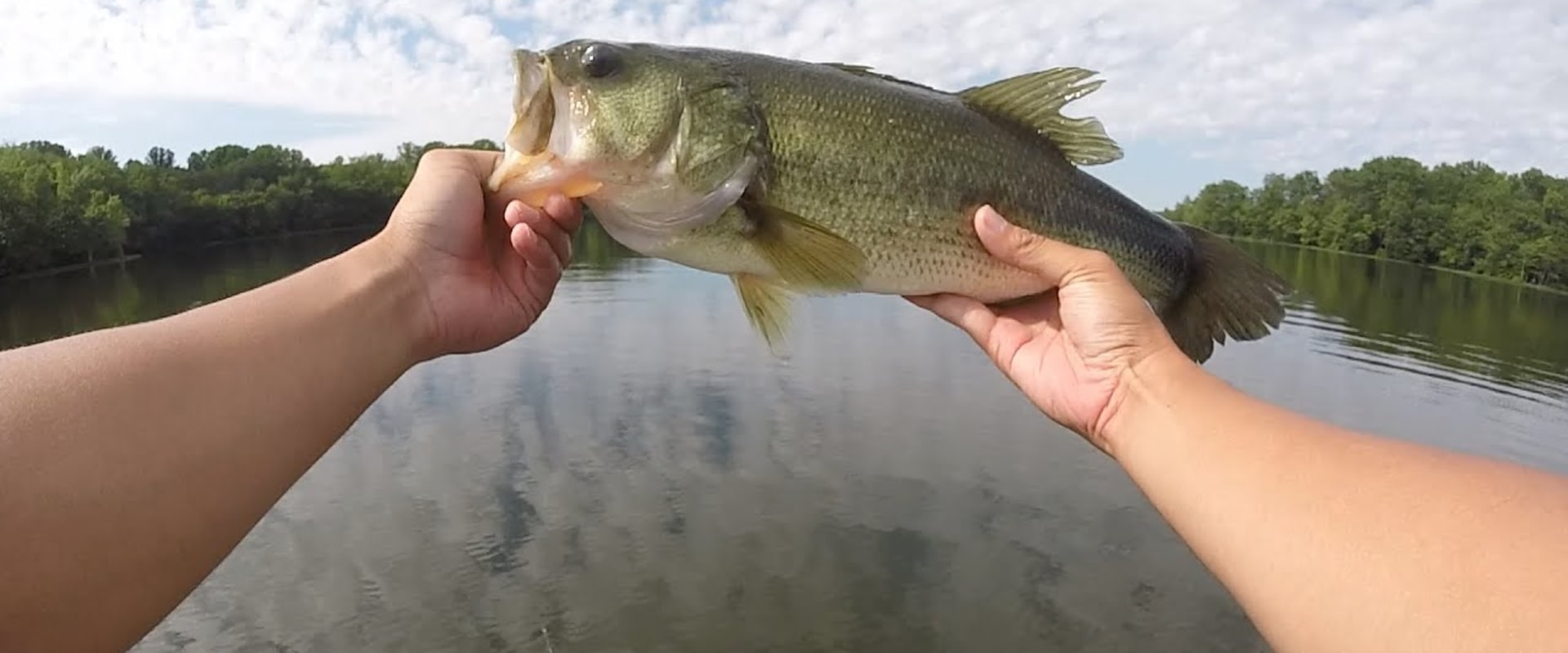 Bass Fishing in Northern Virginia: Techniques and Tips for a Guaranteed ...